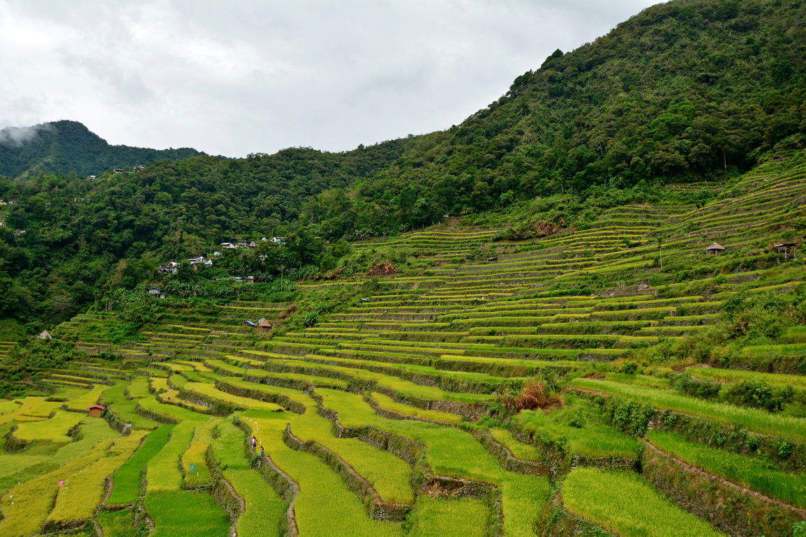Ang Nakamamanghang Batad Rice Terraces – Liwayway