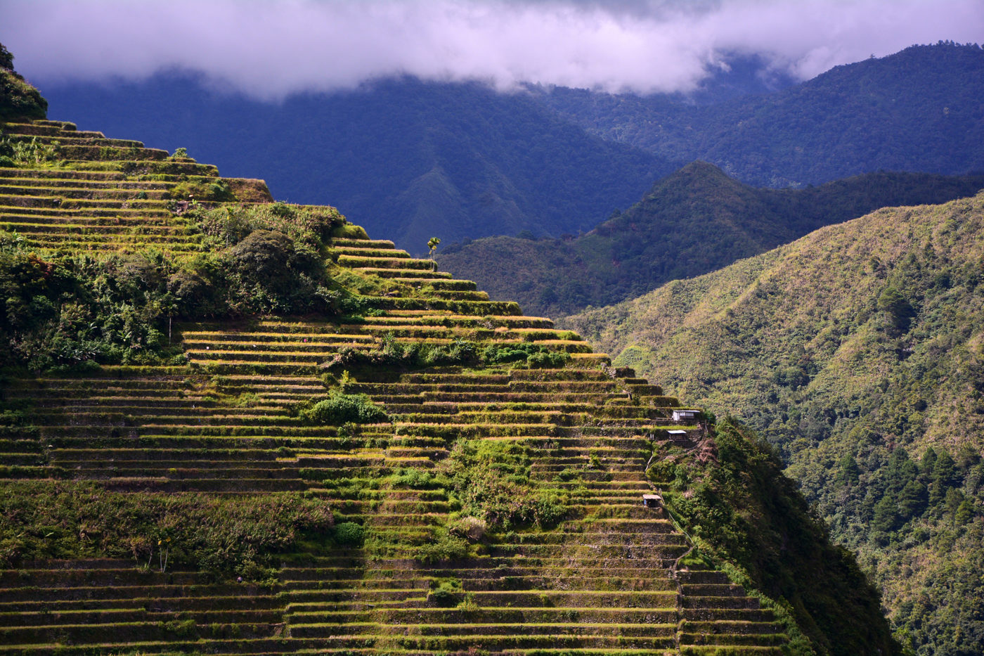 Ang Nakamamanghang Batad Rice Terraces – Liwayway