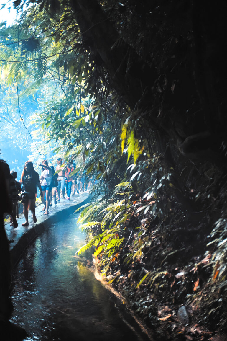 PARAISONG BABALIK-BALIKAN – Liwayway