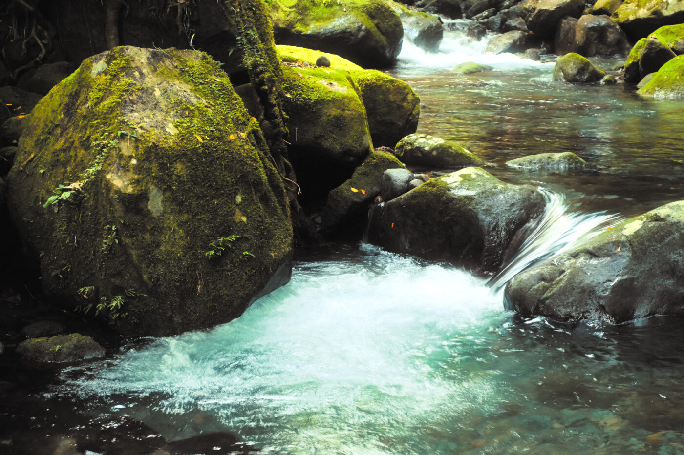 PARAISONG BABALIK-BALIKAN – Liwayway